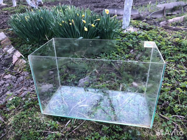 Аквариум 20 литров