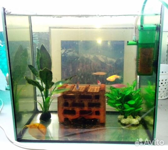 Аквариум с рыбками 18 л