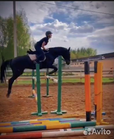 Лошадь в аренду