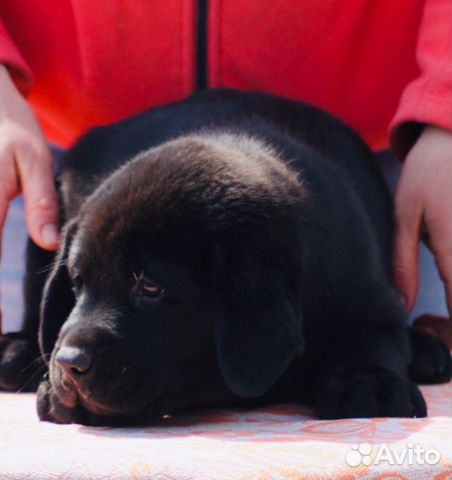 Мальчик уголечек