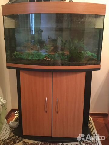 Аквариум 135л панорамный с оборудованием
