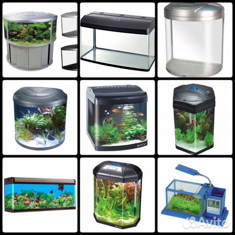 Новые аквариумы фирмы Atman и Boyu