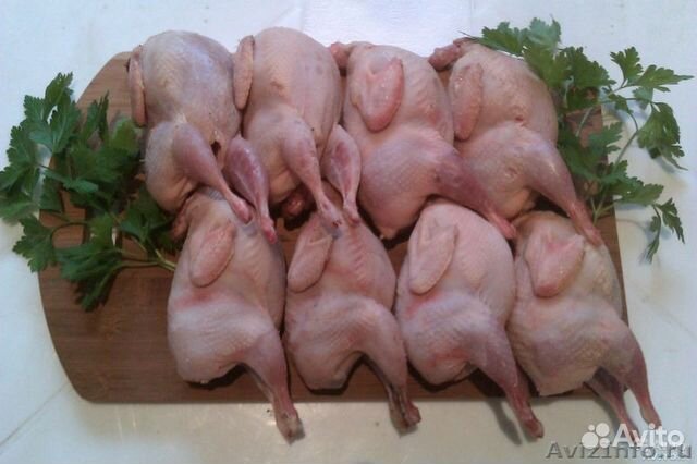Мясо перепелов