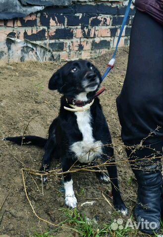 Марточка 4 года