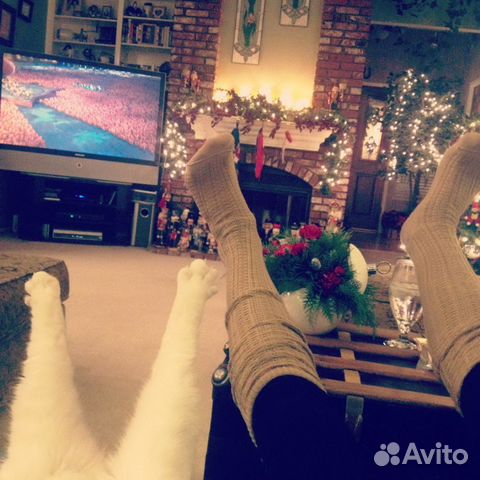 Кота заводят, чтобы кот был маяком во тьме забот