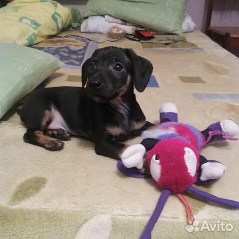 Маленький мальчик