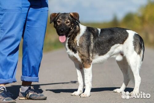 Егорка- Молодой, резвый жизнерадостный мальчик