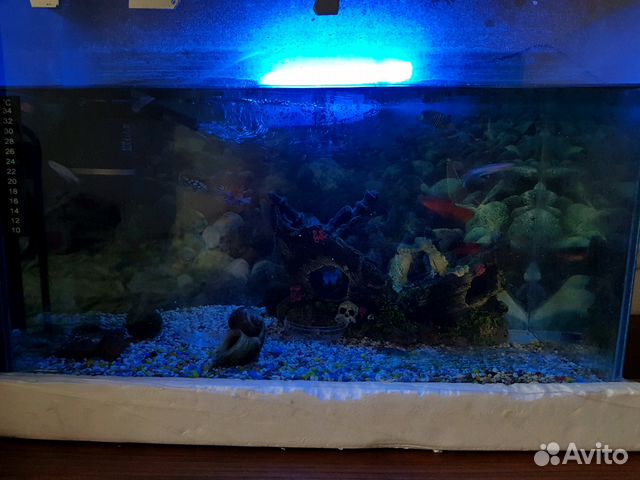 Украшение для аквариума