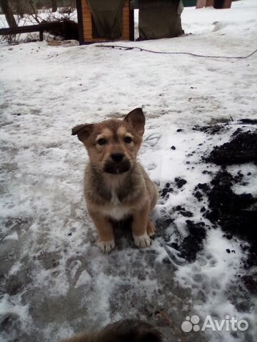 В самые ответственные и заботливые руки