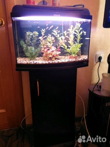 Аквариум Aquael