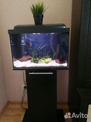 Аквариум