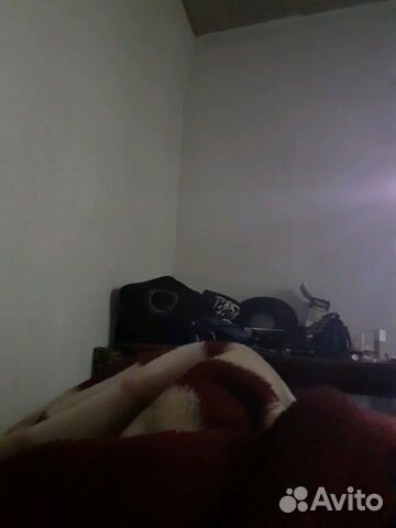 Продуются козы зааненской породы