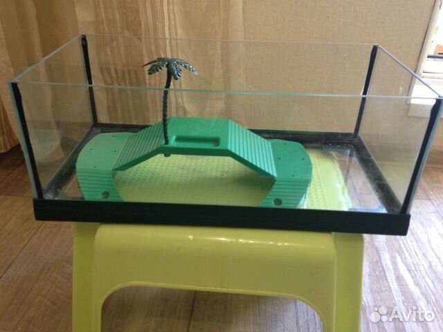 Черепашник малый