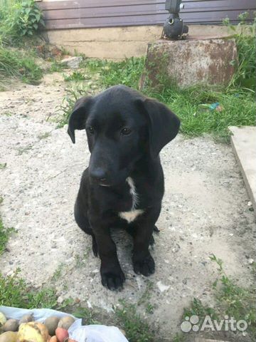 Чудо ребенок