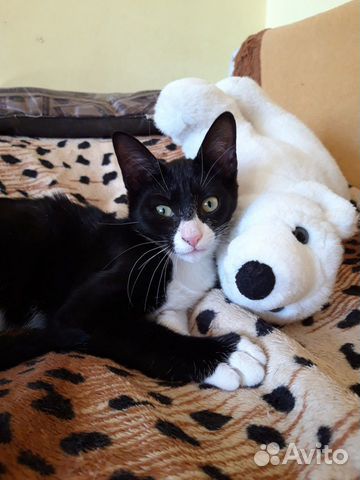 Супер ласковые малышки сестренки ищут дом