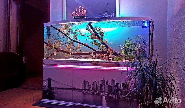 Аквариум 550л