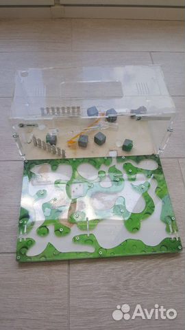 Формикарий муравейник