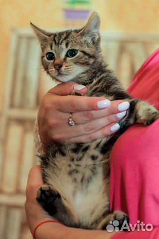 Радость 4 мес