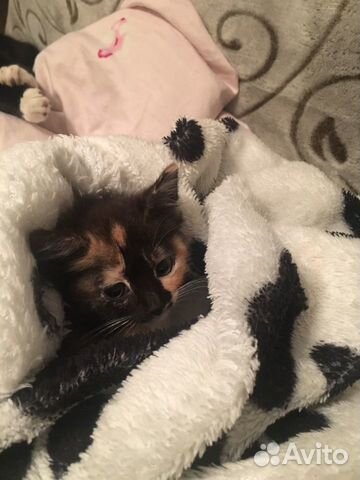 Маленькая кнопка