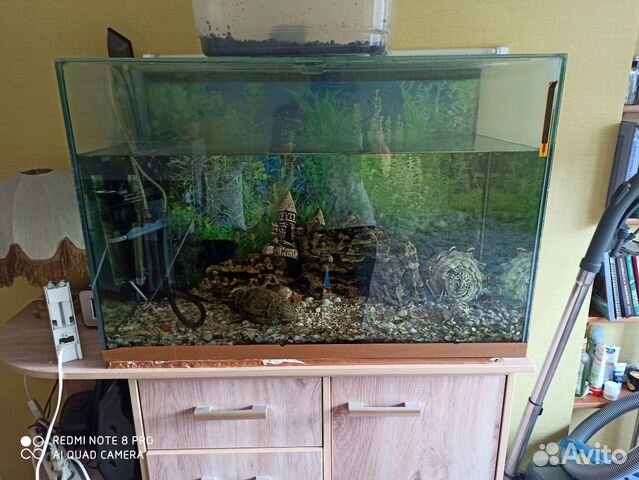 Аквариум и аппаратура