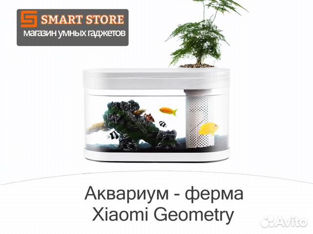 Аквариум - ферма Xiaomi