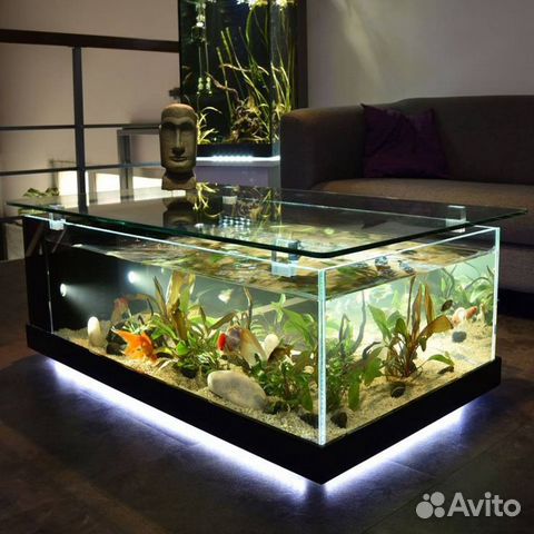 Аквариум
