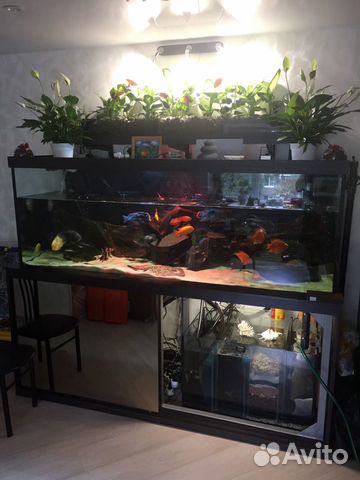 Аквариум 840 литров