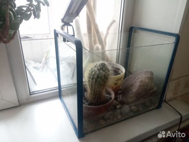 Открытый аквариум с лампой