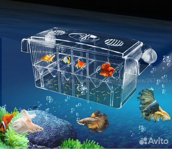 Инкубатор для аквариума