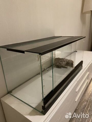 Террариум для бородатой агамы