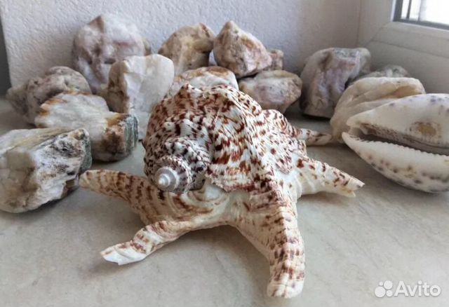 Декор - камни, замок