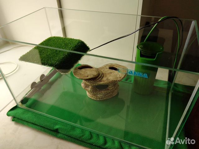 Черепаха крсноухая + аквариум, обогреватель