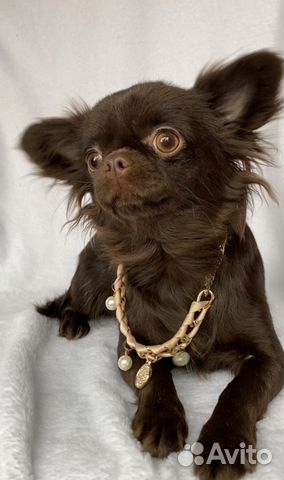 Самая красивая