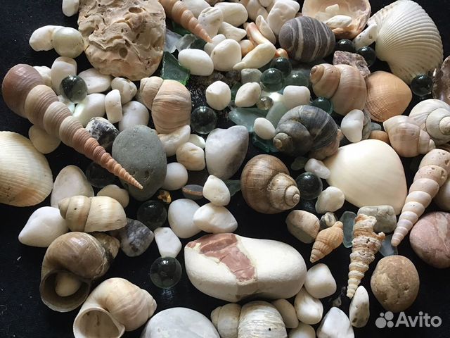 Наполнитель аквариума(камешки, ракушки)