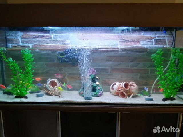 Аквариум 80л с тумбой, рыбками и всем необходимым