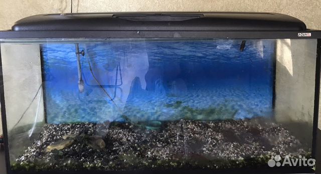 Аквариум