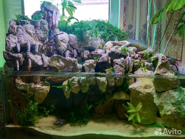 Аквариум/полюдариум