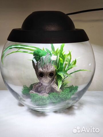 Аквариум