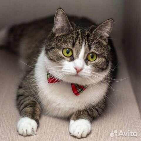 Почему 2 пары носочков