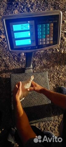 Цыплята петушки