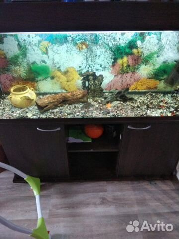 Аквариум