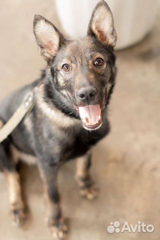 Весёлая и ласковая девочка-подросток