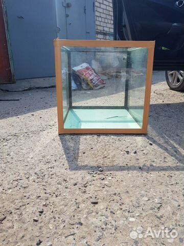 Аквариум гарра руфа