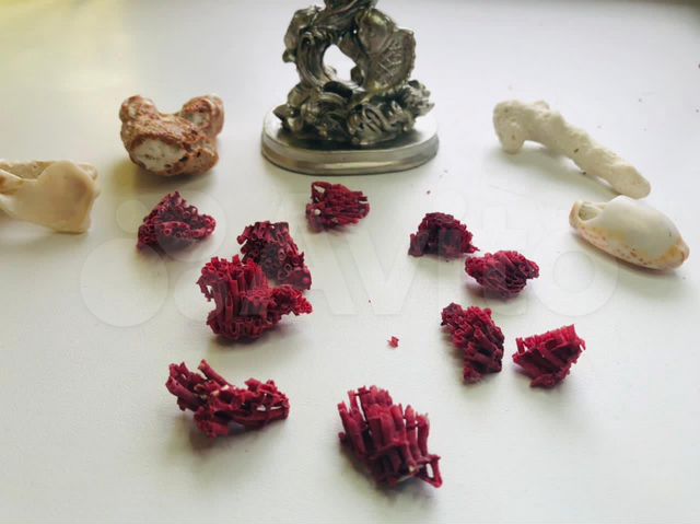 Красный коралл для Васту коррекций