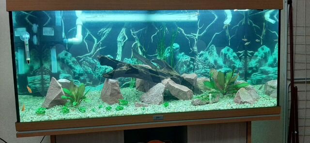 Аквариум juwel rio 180