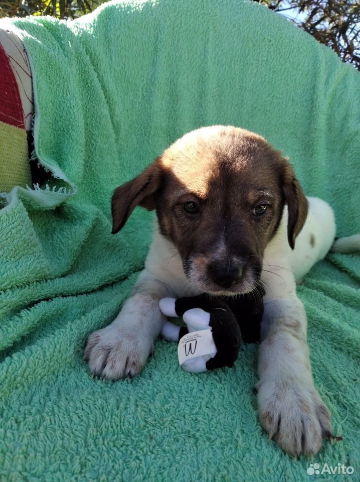 Замечательные детишки