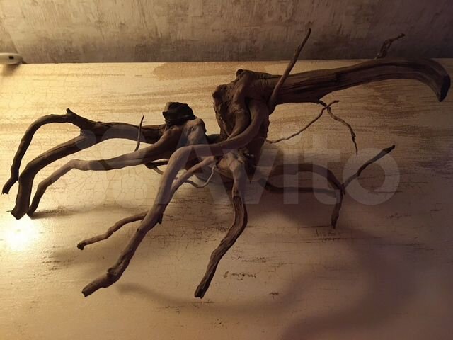 Коряги для аквариума паучий корень